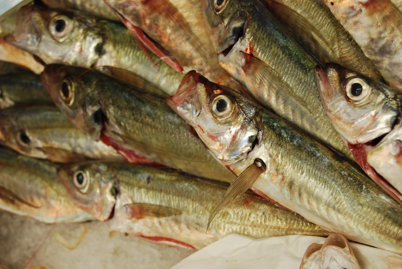 pesce italiano non copre fabbisogno