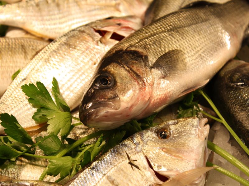 Come cucinare il pesce lesso