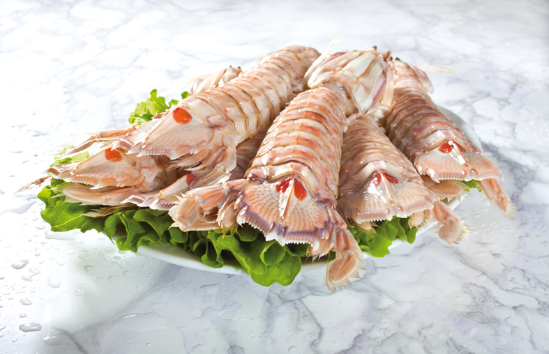 Le Canocchie arrivano in casa Rivamar - Rivamar