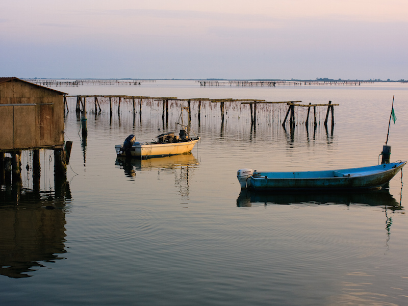 Unesco: il Delta del Po entra nelle Riserve della Biosfera - Rivamar