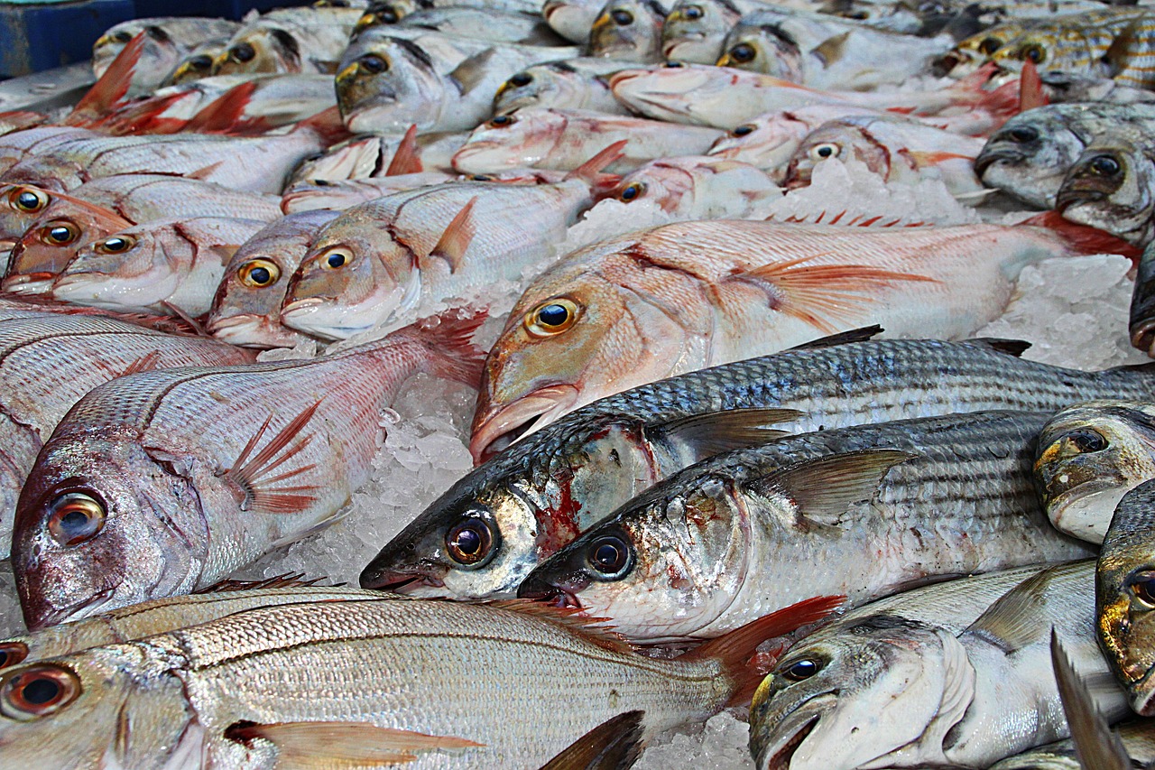 Pesce: il cibo meno sprecato in Italia - Rivamar
