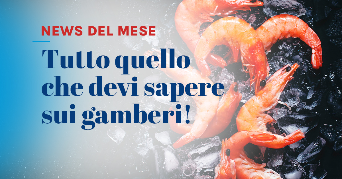 Tutto quello che devi sapere sui gamberi! - Rivamar